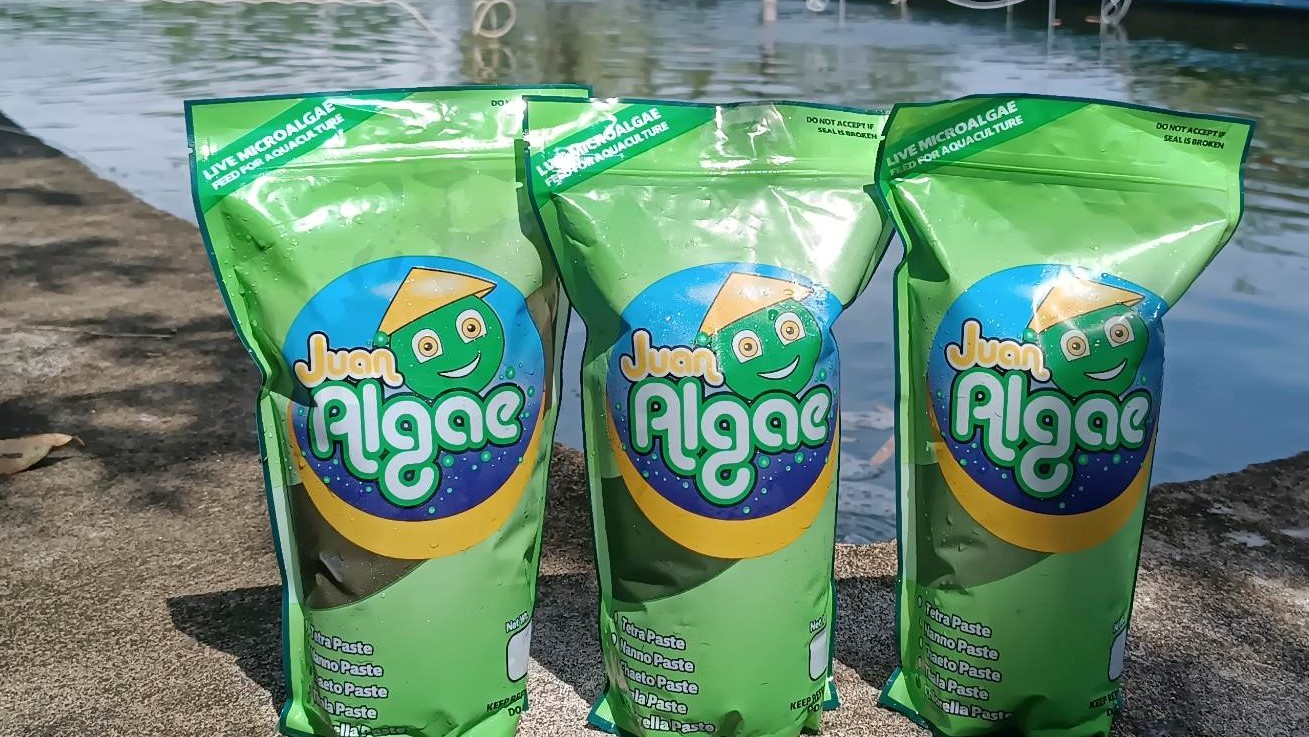 UP Visayas Secures First Patent for Microalgae Paste Technology ...