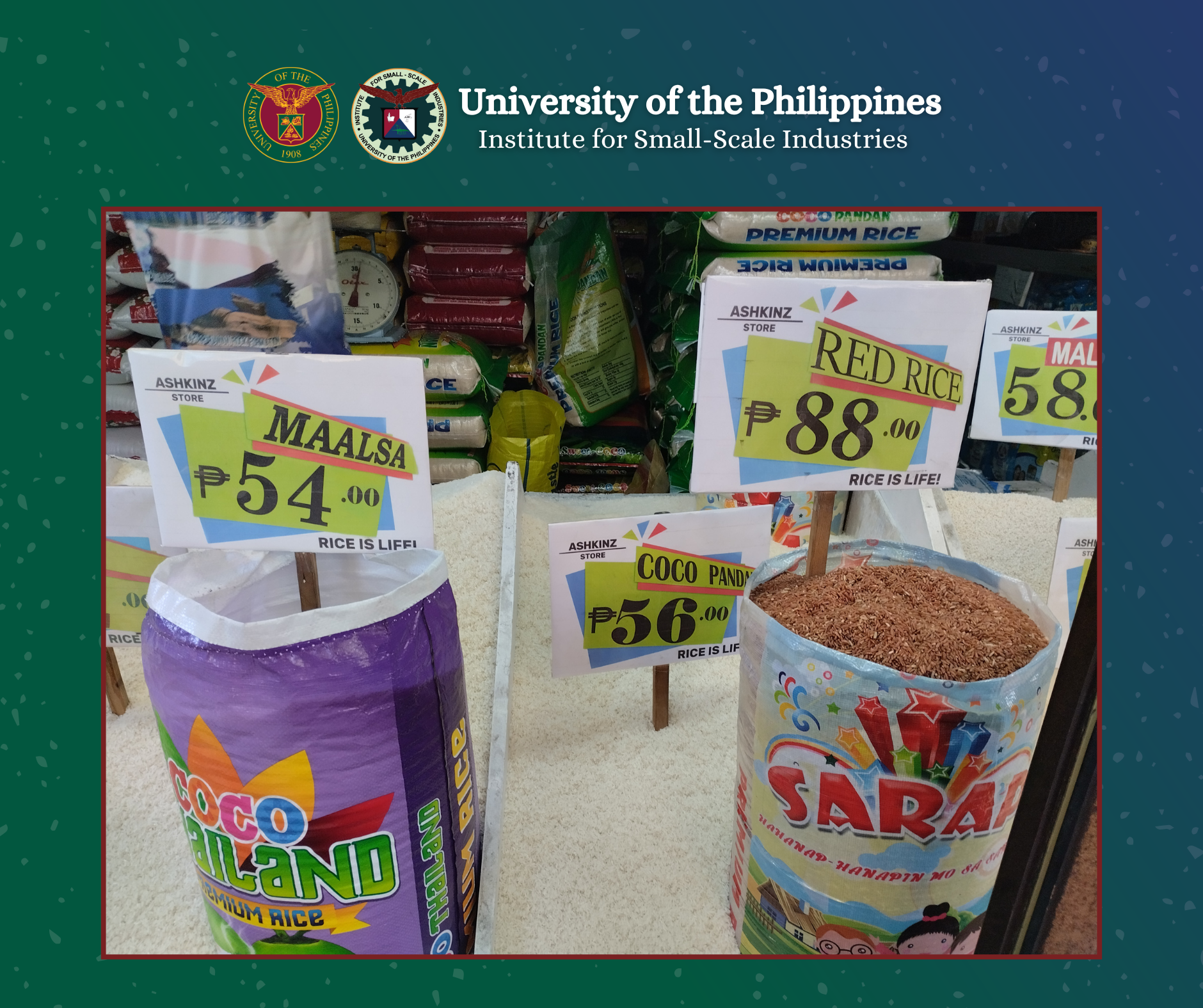 Building New Industries from Rice through Circular Economy | Institute ...